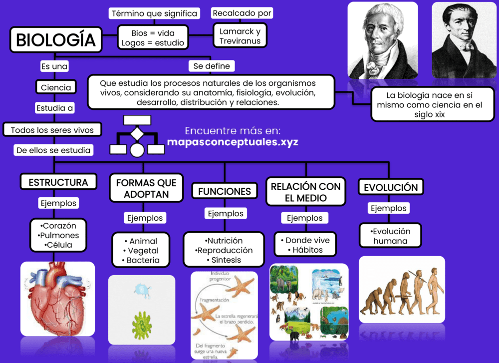 Mapas conceptuales de la Biología 【Descargar】