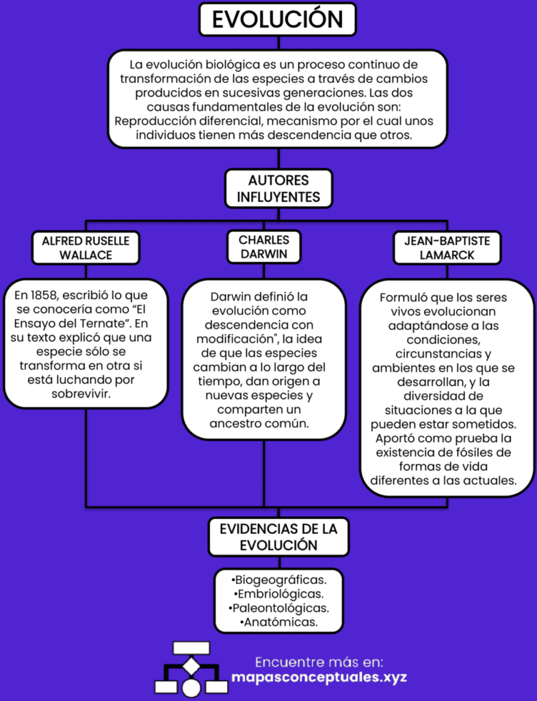 Mapas conceptuales de la Evolución 【Descargar】