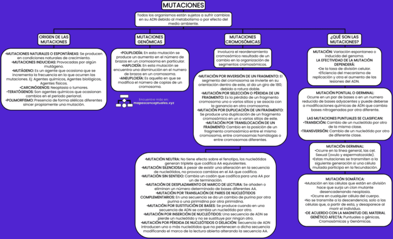 Mapas conceptuales de las Mutaciones 【Descargar】
