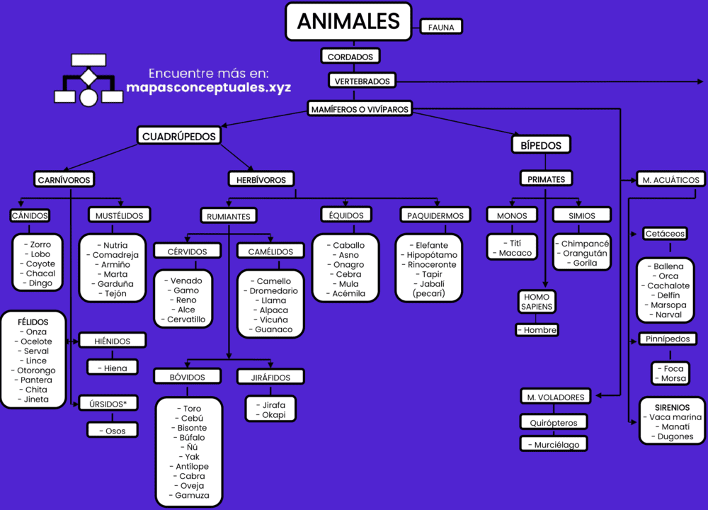 Mapas conceptuales de los Animales 【Descargar】