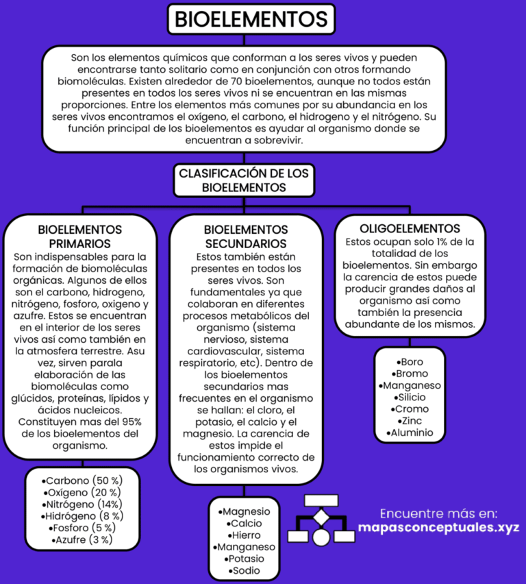 Mapas conceptuales de los Bioelementos 【Descargar】