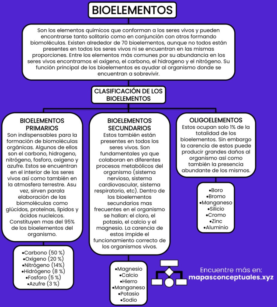 Mapas conceptuales de los Bioelementos 【Descargar】