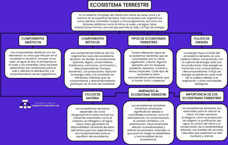 Mapas conceptuales Ecosistemas Terrestres 【Descargar】