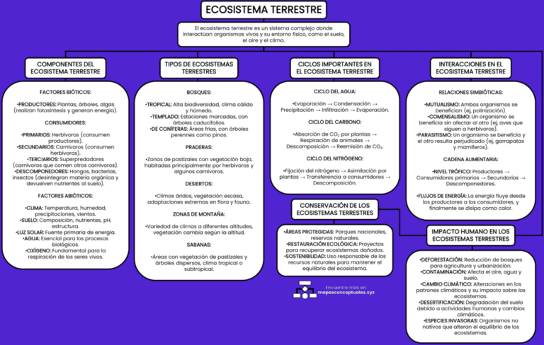 Mapas conceptuales Ecosistemas Terrestres 【Descargar】