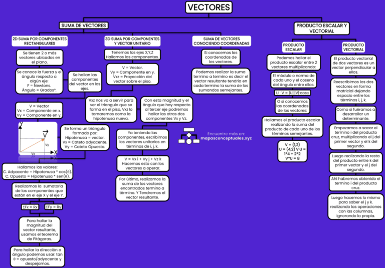 Mapas conceptuales de los Vectores 【Descargar】