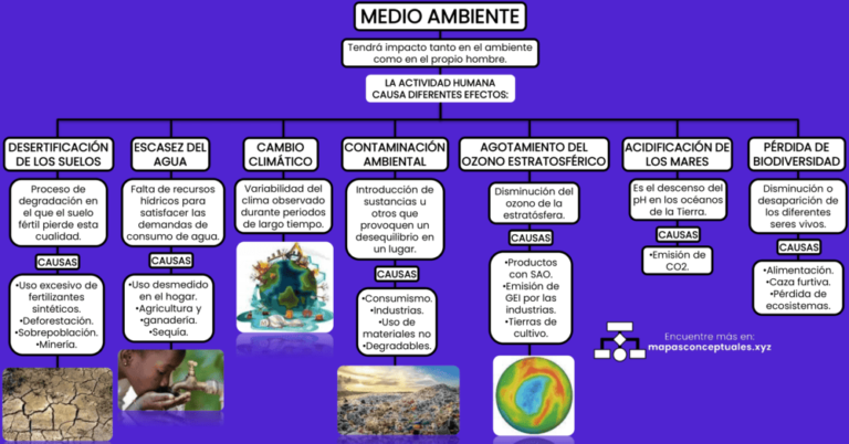Mapas conceptuales del Medio Ambiente 【Descargar】